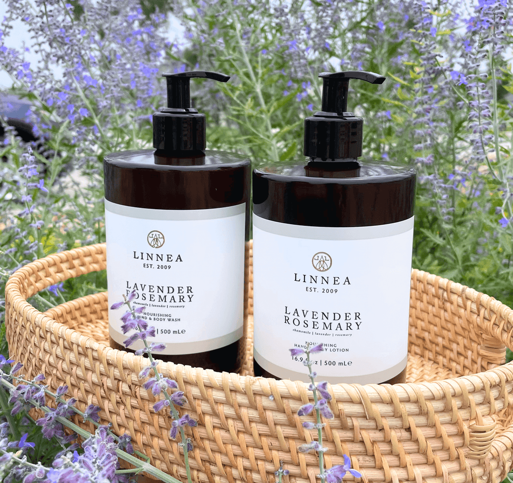 N E W A R R I V A L S | Solange & Frances Collections