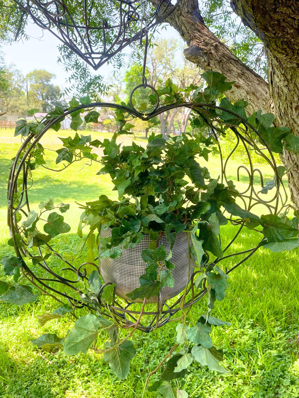 O U T D O O R | Solange & Frances Collections