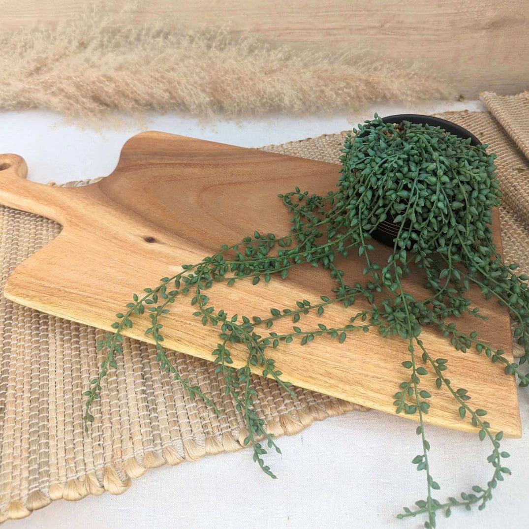 Kitchen | Solange & Frances Collections