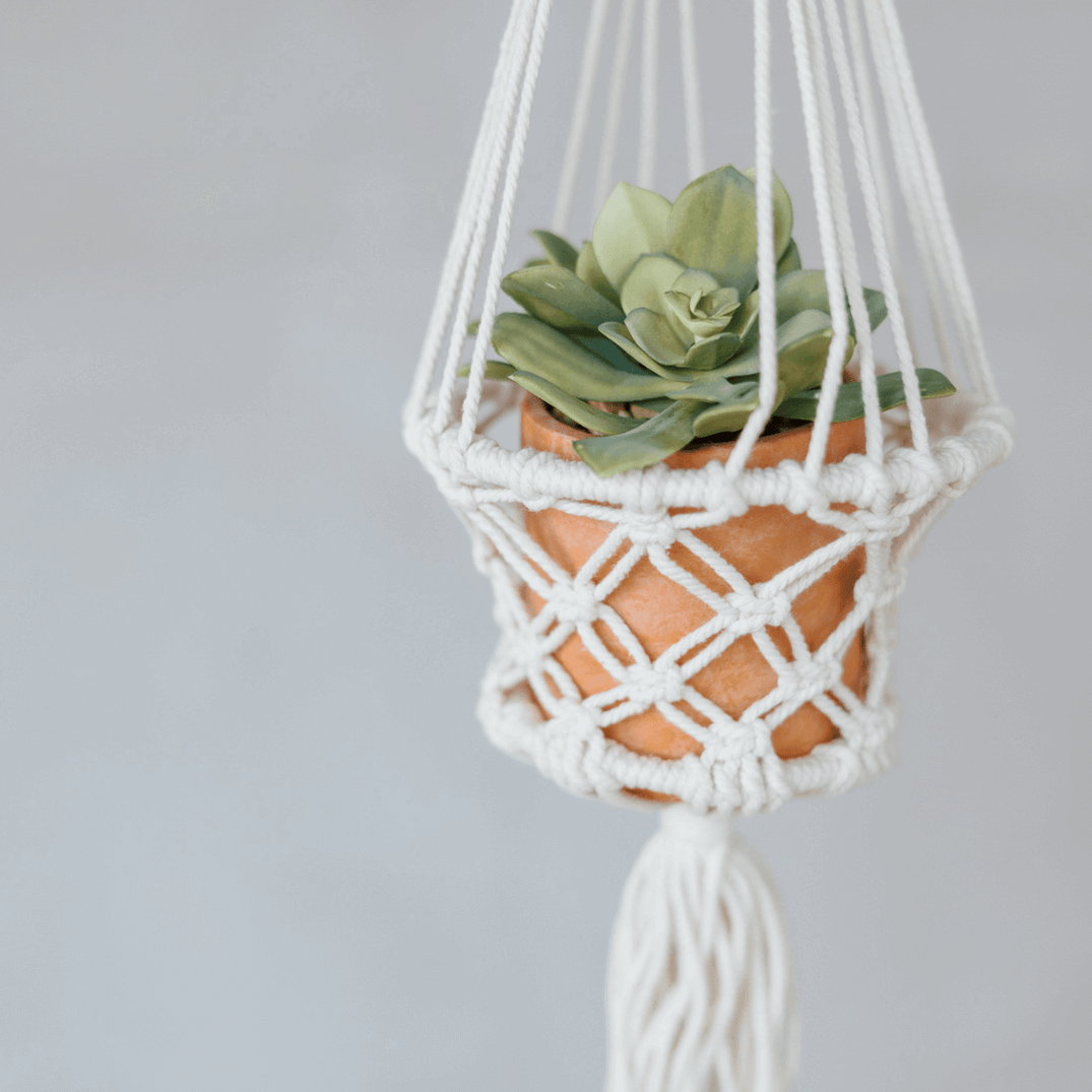 Outdoor | Solange & Frances Collections